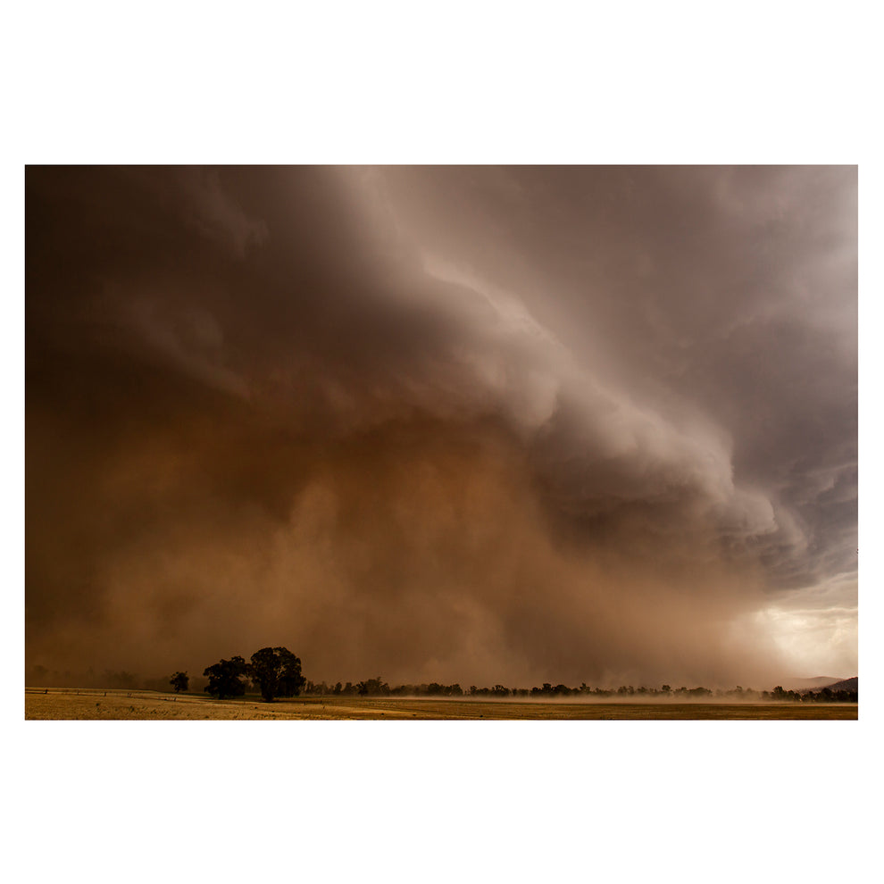 The Dust Storm unframed print – Kim Storey Photographer